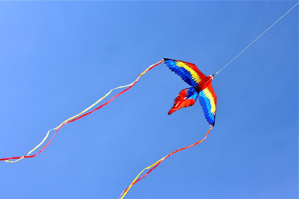 Living in Texas: the Kite Festival - MADE EVERYDAY