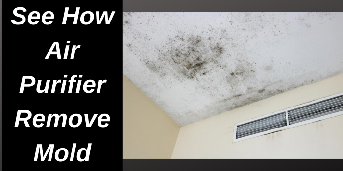 Can Air Purifier Remove Mold?