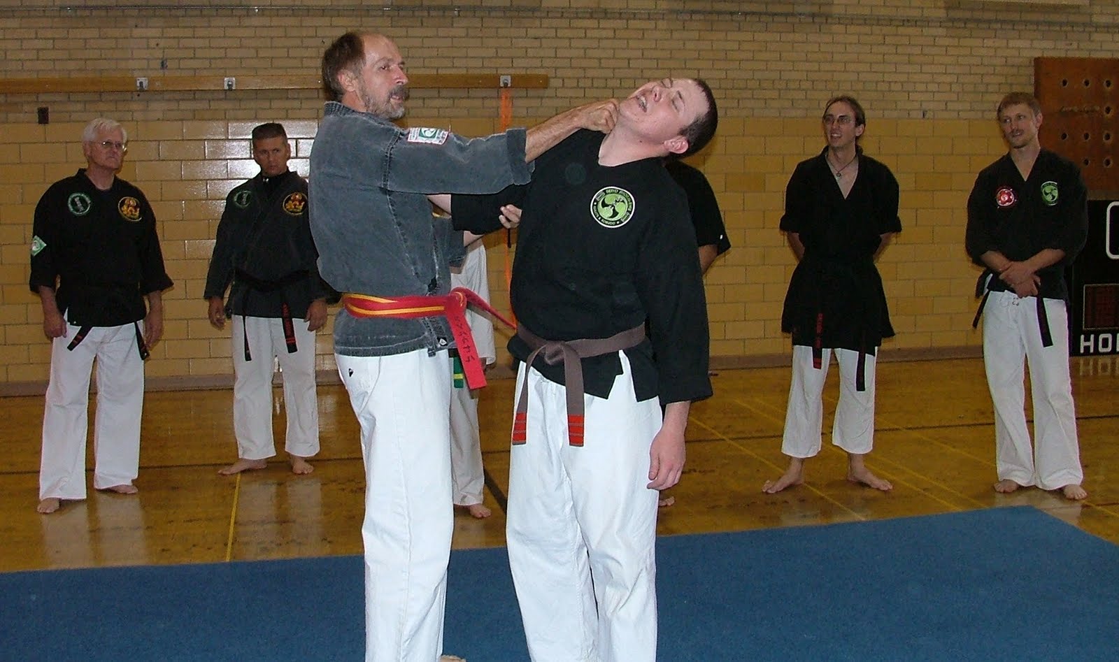 Olympic Judo: Judo Techniques