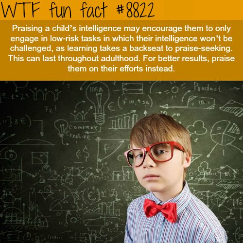 60 Amazing Random Facts | Amazing WTF Facts