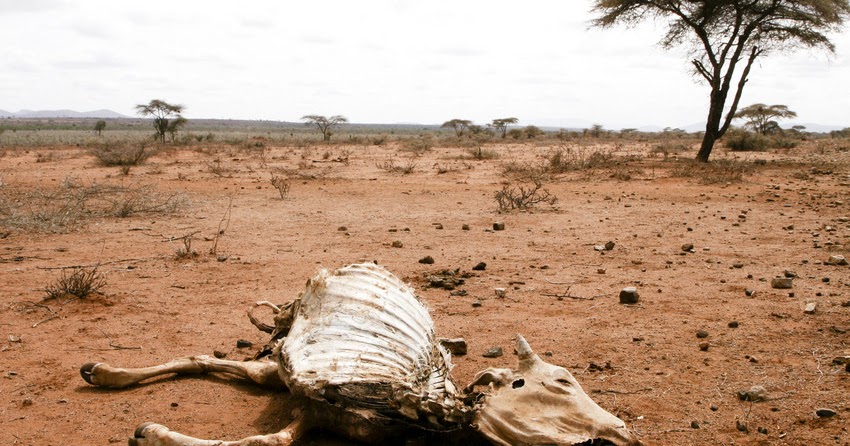 The Big Wobble : Weather madness! Nearly 1 million children affected by ...