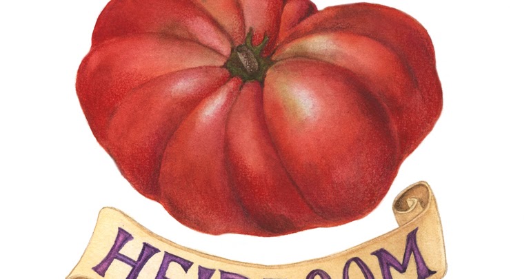 Draw the Beauty of Nature with Mindy Lighthipe: Illustrative, Food Fine ...