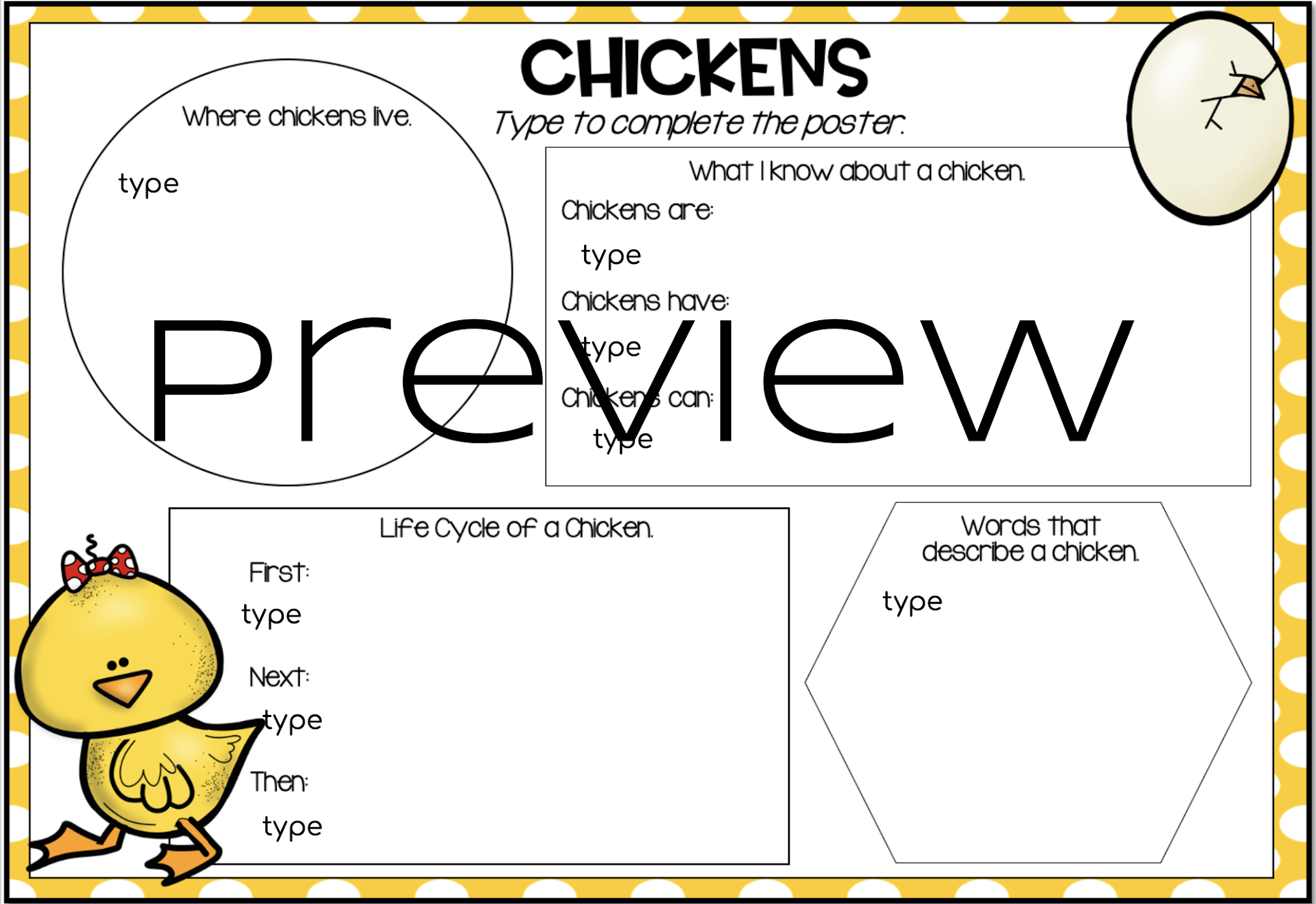 1st Grade Hip Hip Hooray!: Bunnies and Chicks...Informational Text
