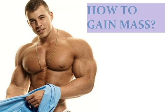 Muscle Palace How To Gain Muscle Mass 5 Principles Of Muscle Hypertrophy muscle-palace-how-to-gain-muscle-mass-5-principles-of-muscle-hypertrophy