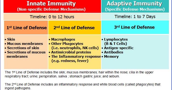 Our Life Our Story: Cara Meningkatkan Sistem Pertahanan Badan