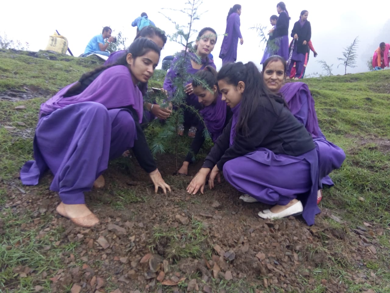 Tree plantation Day held on 27/7/2019 - Shantialya