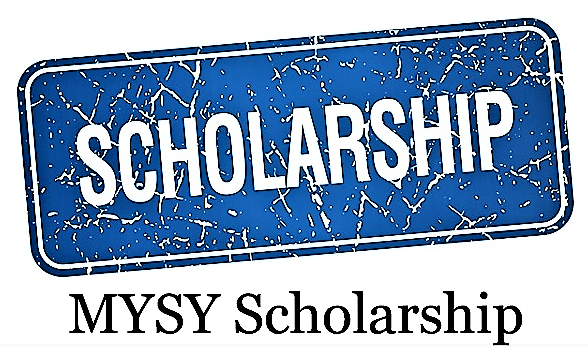 MYSY Scholarship - Mukhyamantri Yuva Swavalamban Yojana - Noble Gujarat