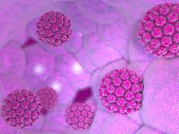 10 choses à savoir sur le virus du papillome humain (VPH) | Protège ta ...