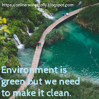 Happy Environment Day - slogans, quotes