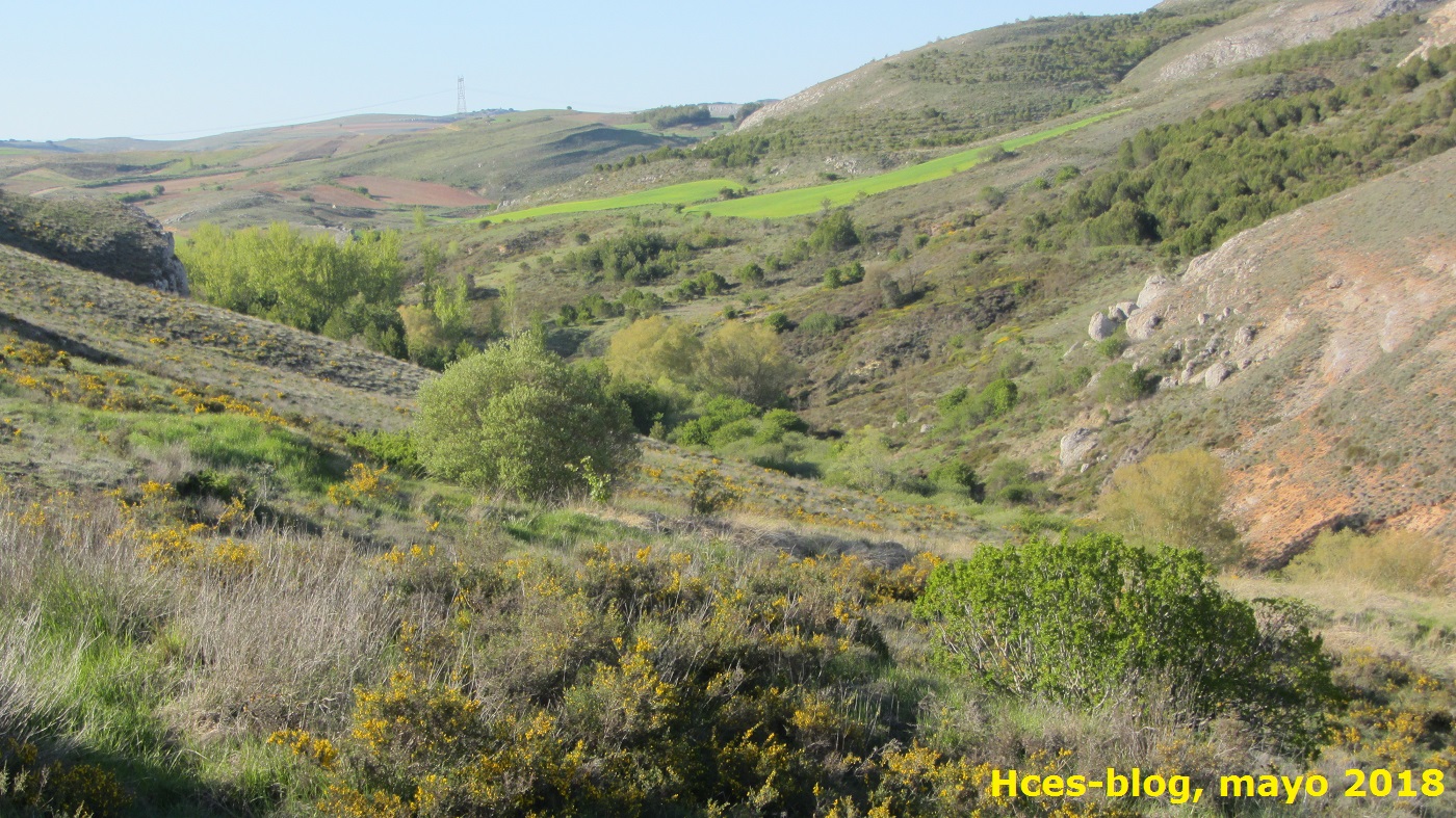 Huérmeces (Burgos): El río Brullés: de Fuencivil a Villasandino