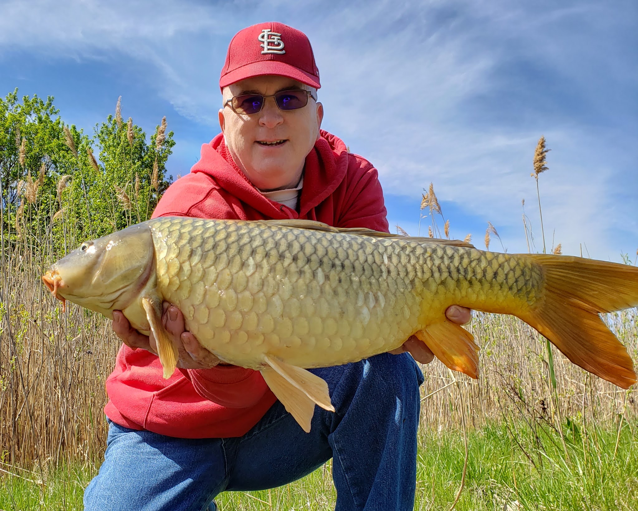 Michigan Carp Fishing Blog: Michigan Rouge River Carp Fishing