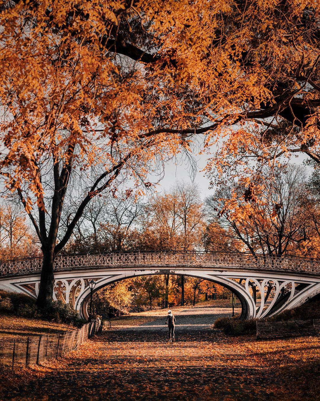 My Life with Functional Neurological Disorder: Mist