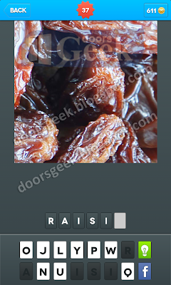 Zoomed In - Photo Word Game Level 37 ~ Doors Geek