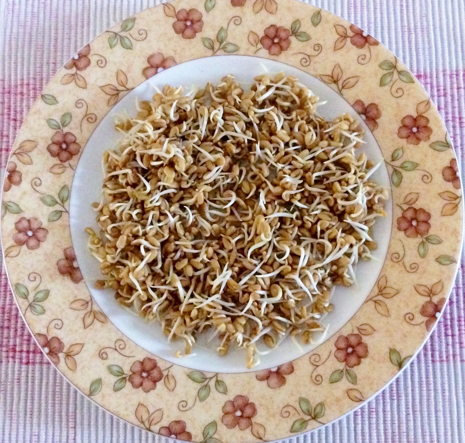 Sita's Ruchulu: Menthulu pulusu/Methi gojju (Fenugreek stew)
