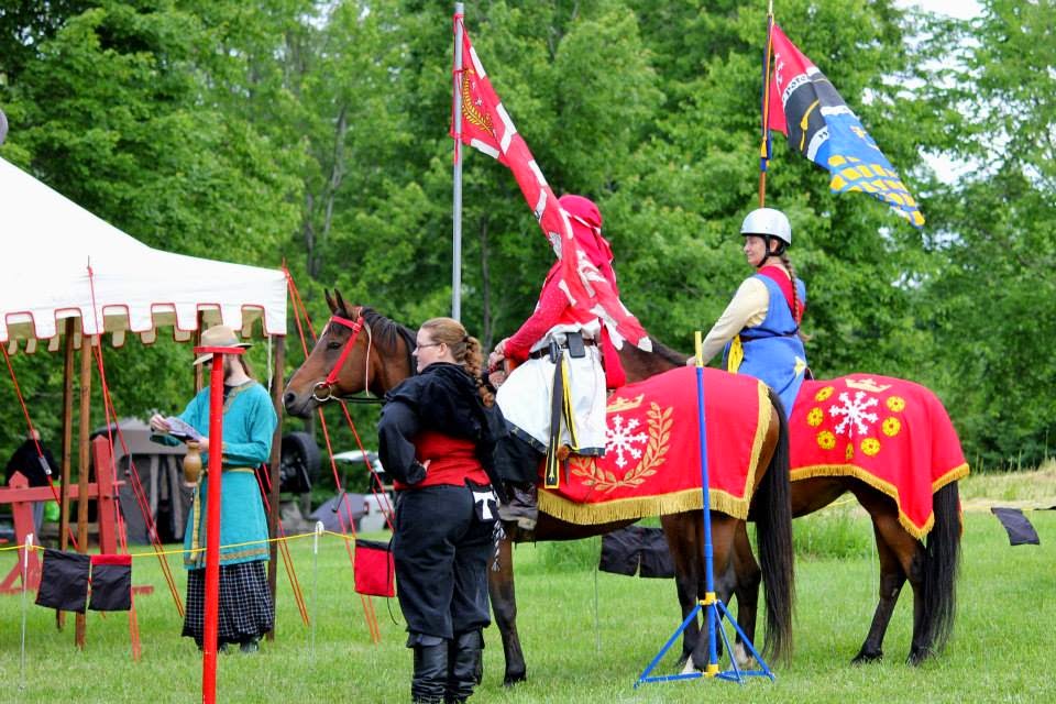 Weiner-Gozen's Blog Page: Display of Barding Styles Part 3- Blanket Barding