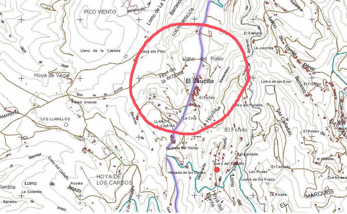 Mi Gran Canaria: SAUCILLO (GÁLDAR)