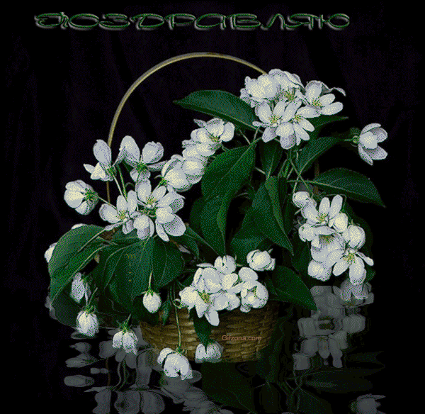 Un blog cu gif-uri: Gifuri flori