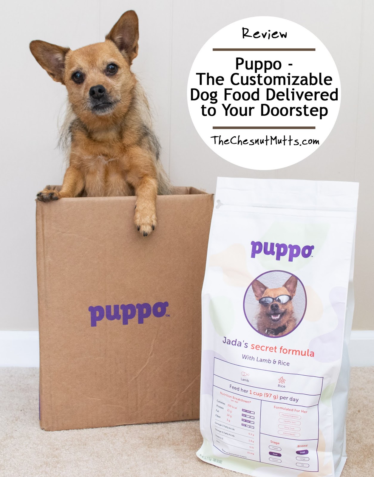 Review: Puppo - The Customizable Dog Food Delivered to Your Doorstep ...