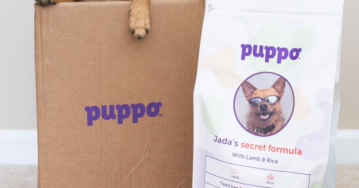 Review: Puppo - The Customizable Dog Food Delivered to Your Doorstep ...