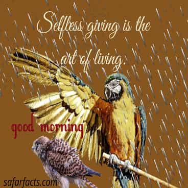 Good Morning Quotes Images Helping To Start The Day Happy