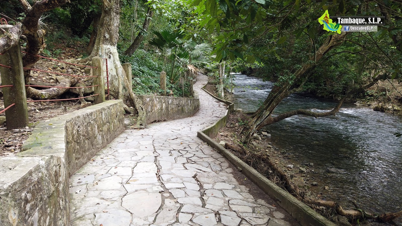 Descubre SLP: El Manantial de Tambaque