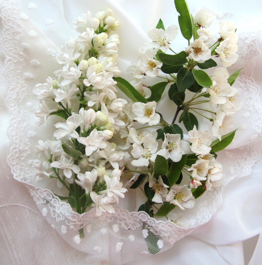 Flutterby Patch: April 2011