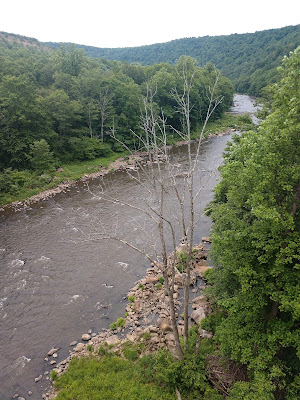 CaptMurph: Pinkerton Tunnel, Confluence, PA - June 20, 2020
