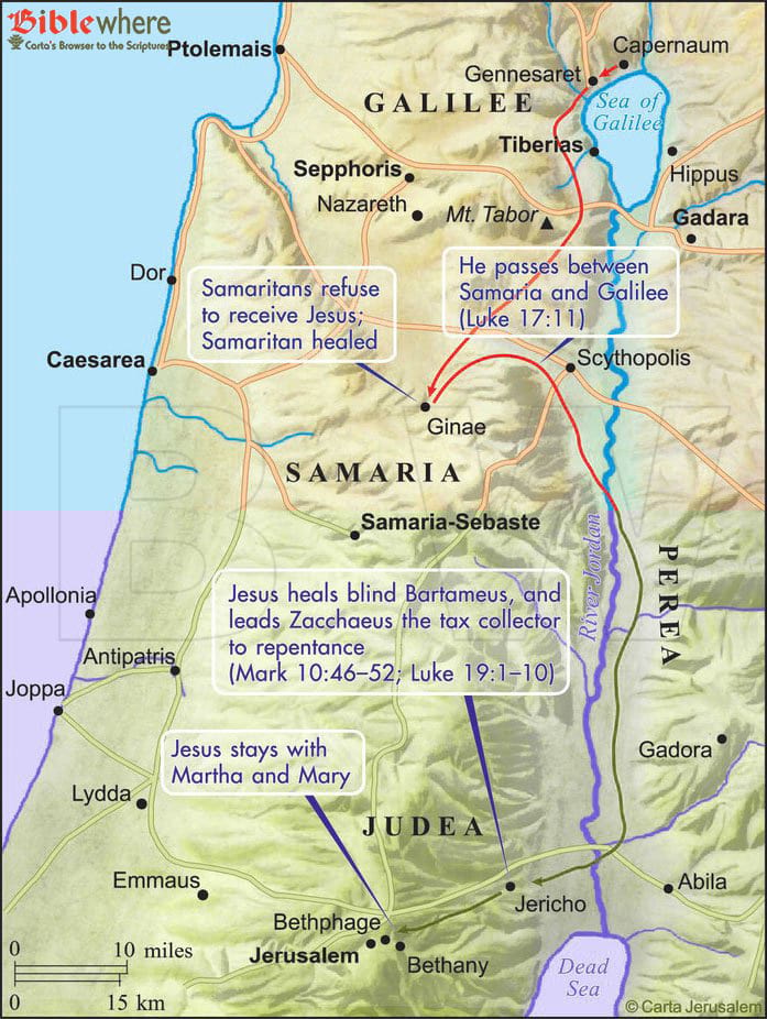 Whose Parade Do We March In? (a Palm Sunday meditation)