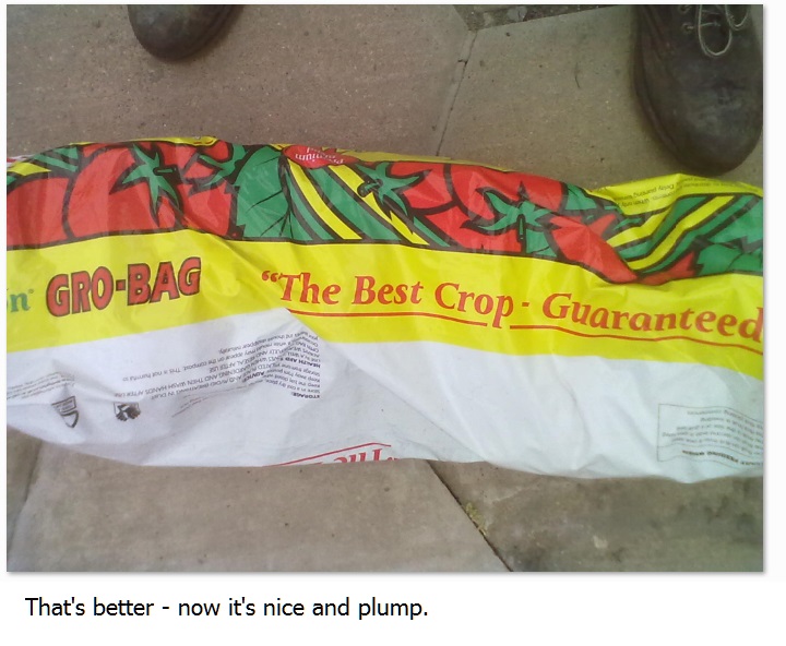 Rachel the Gardener: How to: install gro-bags.