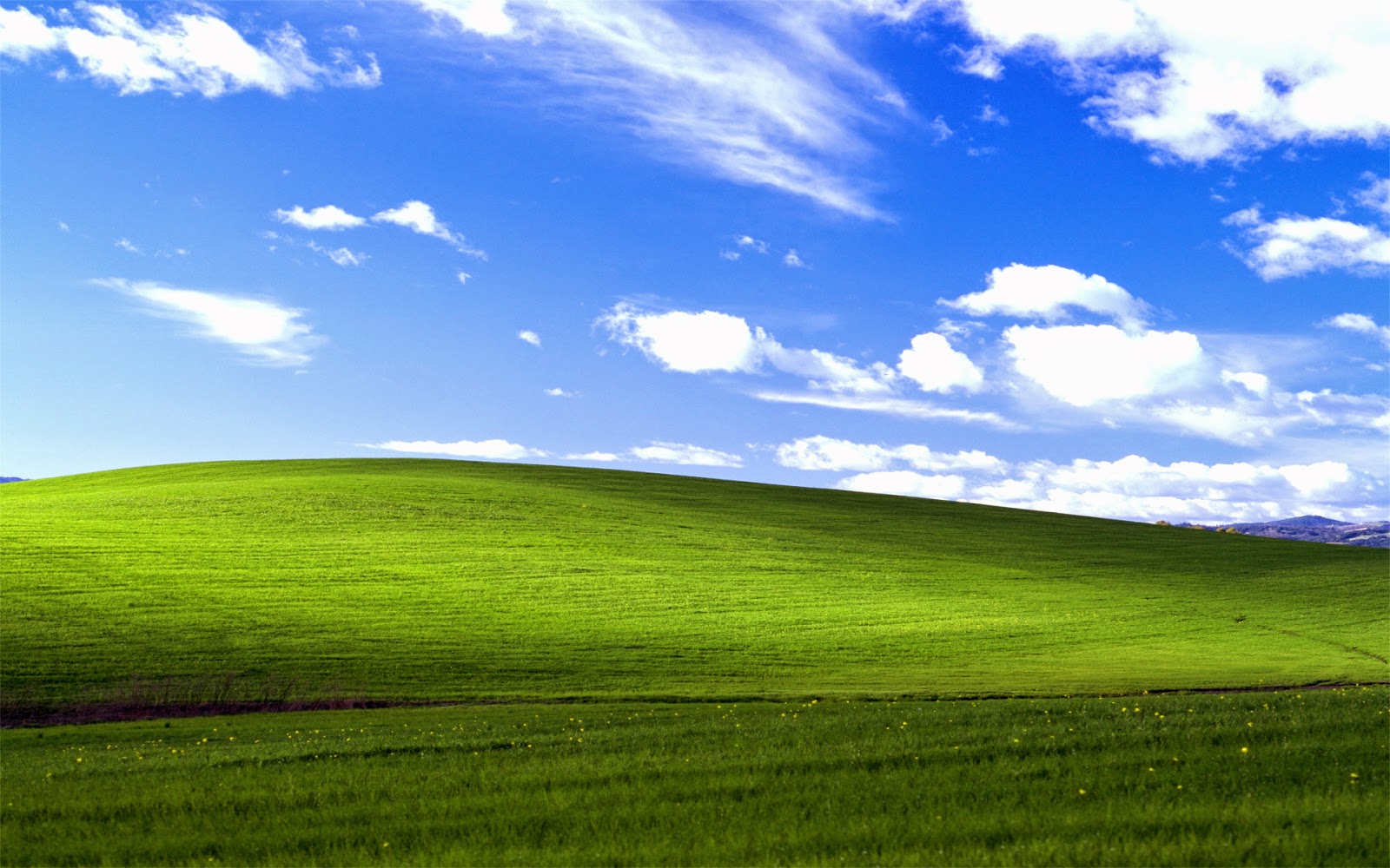 Windows xp background - bapmama