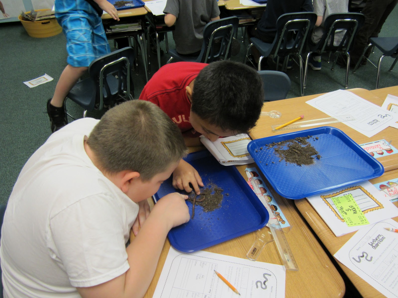 Mrs. Patton's Class: Earthworm Observation Day and Earth Day Crafts!!