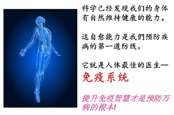 Transfer Factor Immunity: 免疫系统