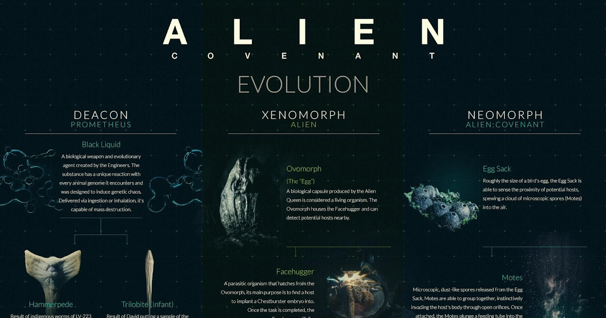 Red de Rol: Infografía de Alien (II): Ciclo vital y evoluciones según ...