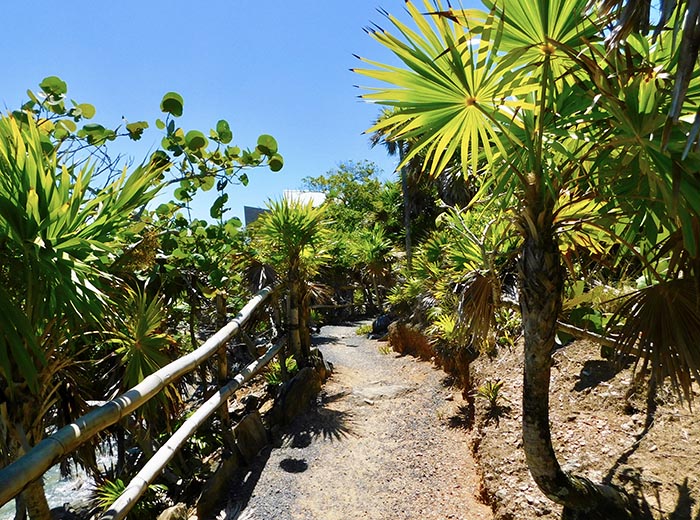 My Roatan - Adventures in Creating Nirvana: Views from the Zen Path