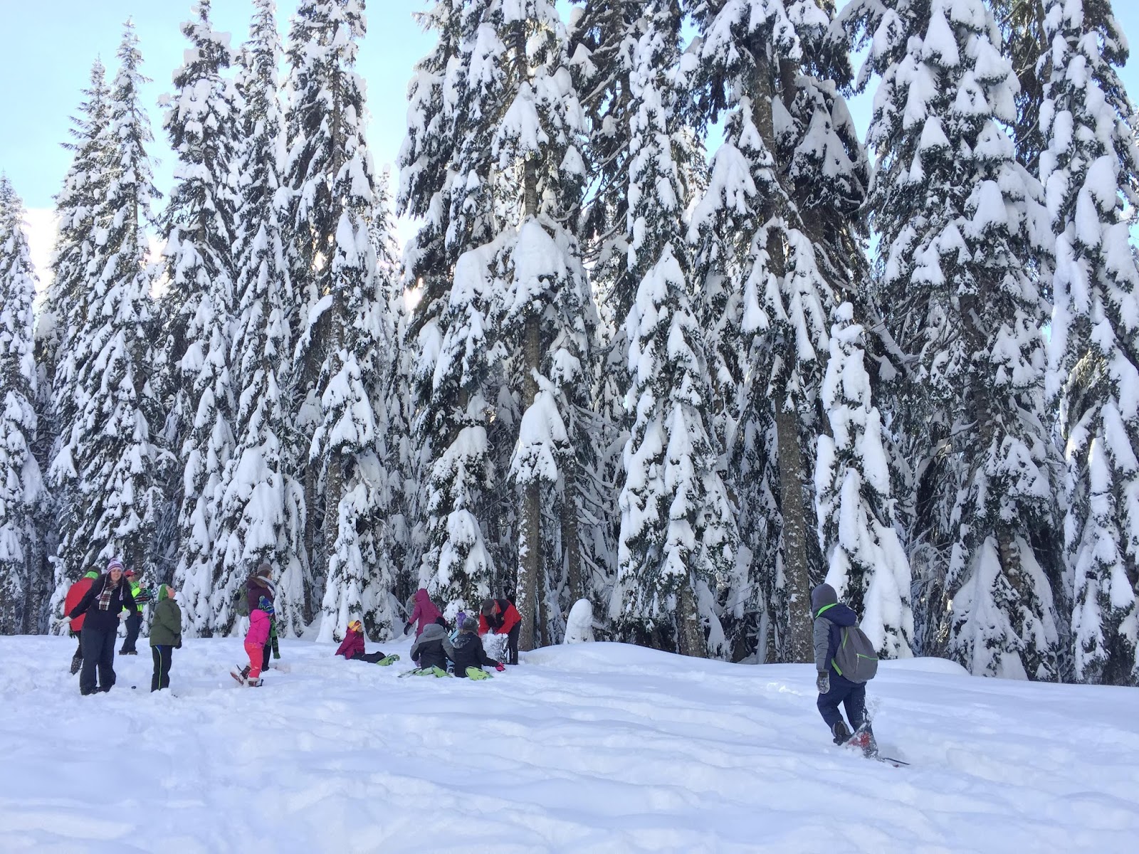 Adventures with Jake: Easy Snowshoe Hike with a Forest Ranger at ...