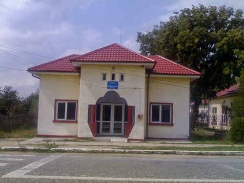 Radovan News