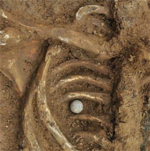 AMO DEL CASTILLO: Los mortíferos arcabuces