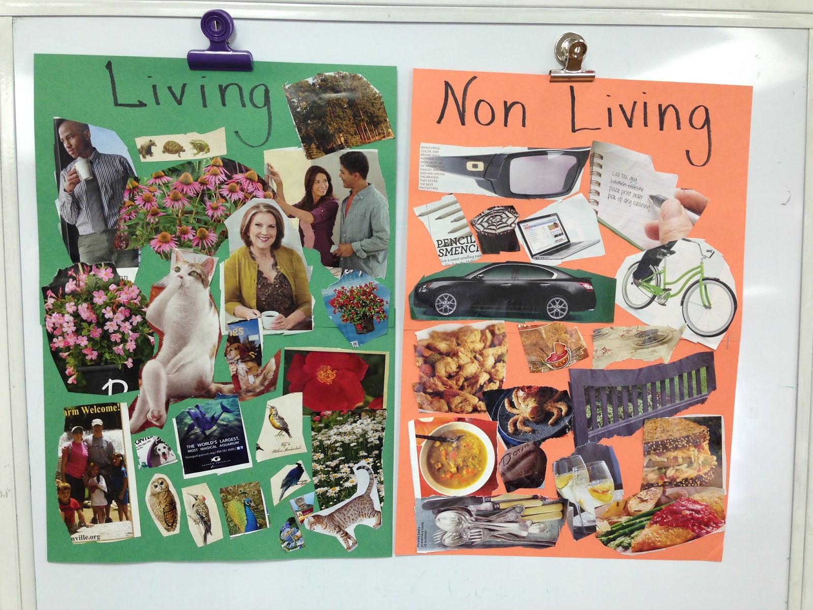Kindergarten Hopefuls: All About Living Things