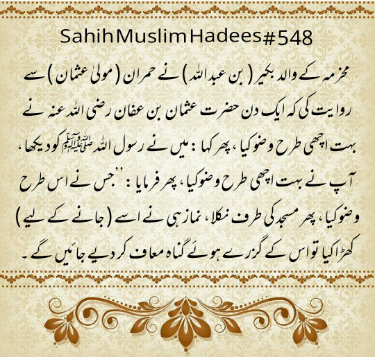 Authentic Islamic Info