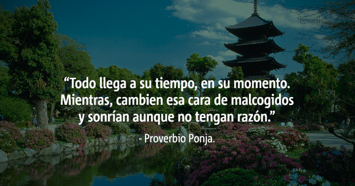 Proverbio Japonés. - acción noética