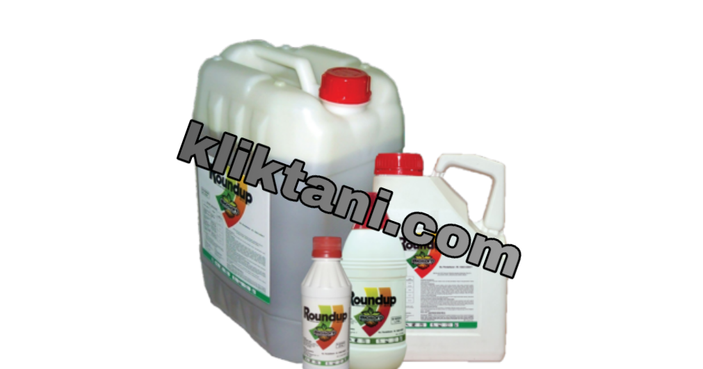 Herbisida Roundup Racun Rumput Terbaik - kliktani.com