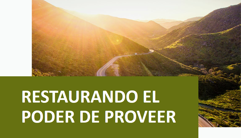 Revolución De Gracia: Restaurando El Poder De Proveer