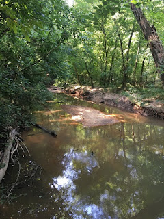 blazeCLT: Lake Whelchel Trail