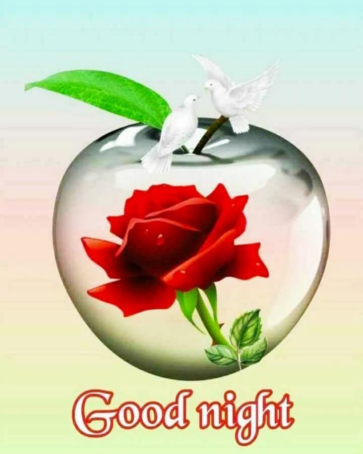 Good Night Pics For Facebook || Good Night Images - Mixing Images