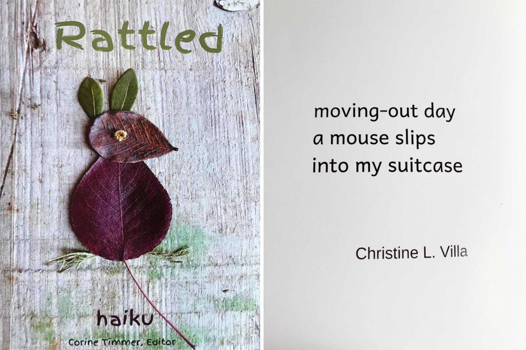 BLOSSOM RAIN: Rattled Anthology, Edited by Corrine Timmer