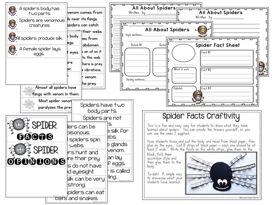 Cue the spiders! - Second Grade Stories
