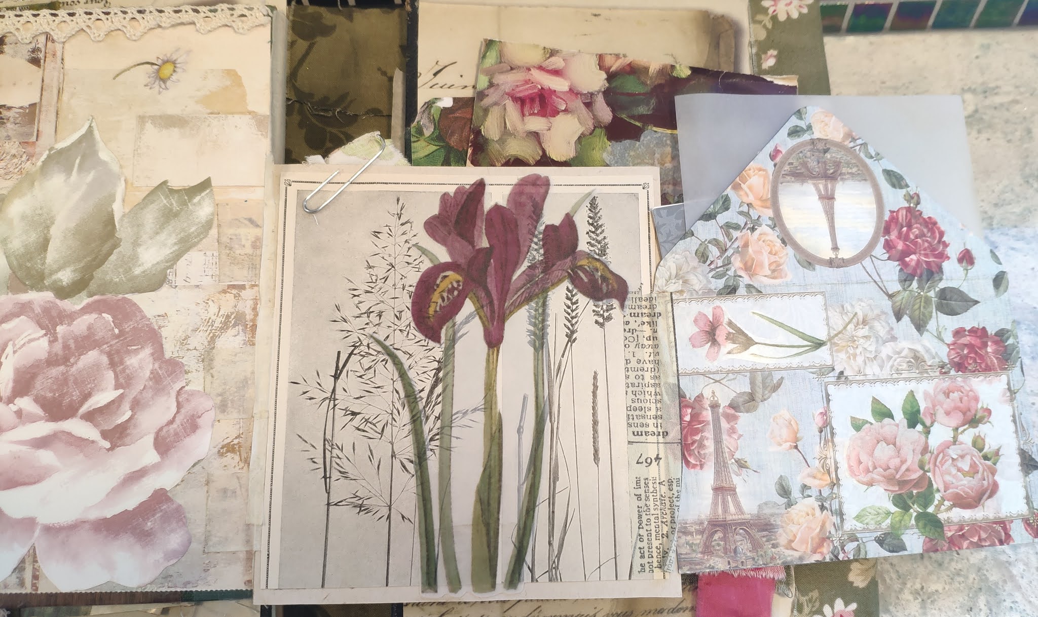 Botanical Lap Book