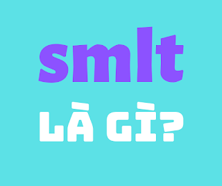 SMLT là gì? Nghĩa viết tắt của smlt - Dịch Nghĩa Online