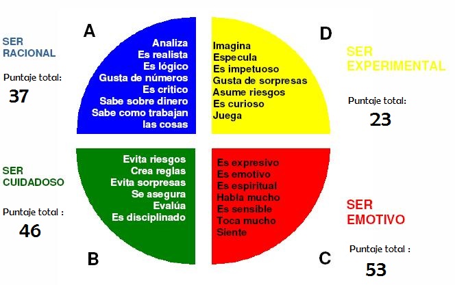 DRECS: GRÁFICO DEL TEST DE HERRMANN DEL GRUPO