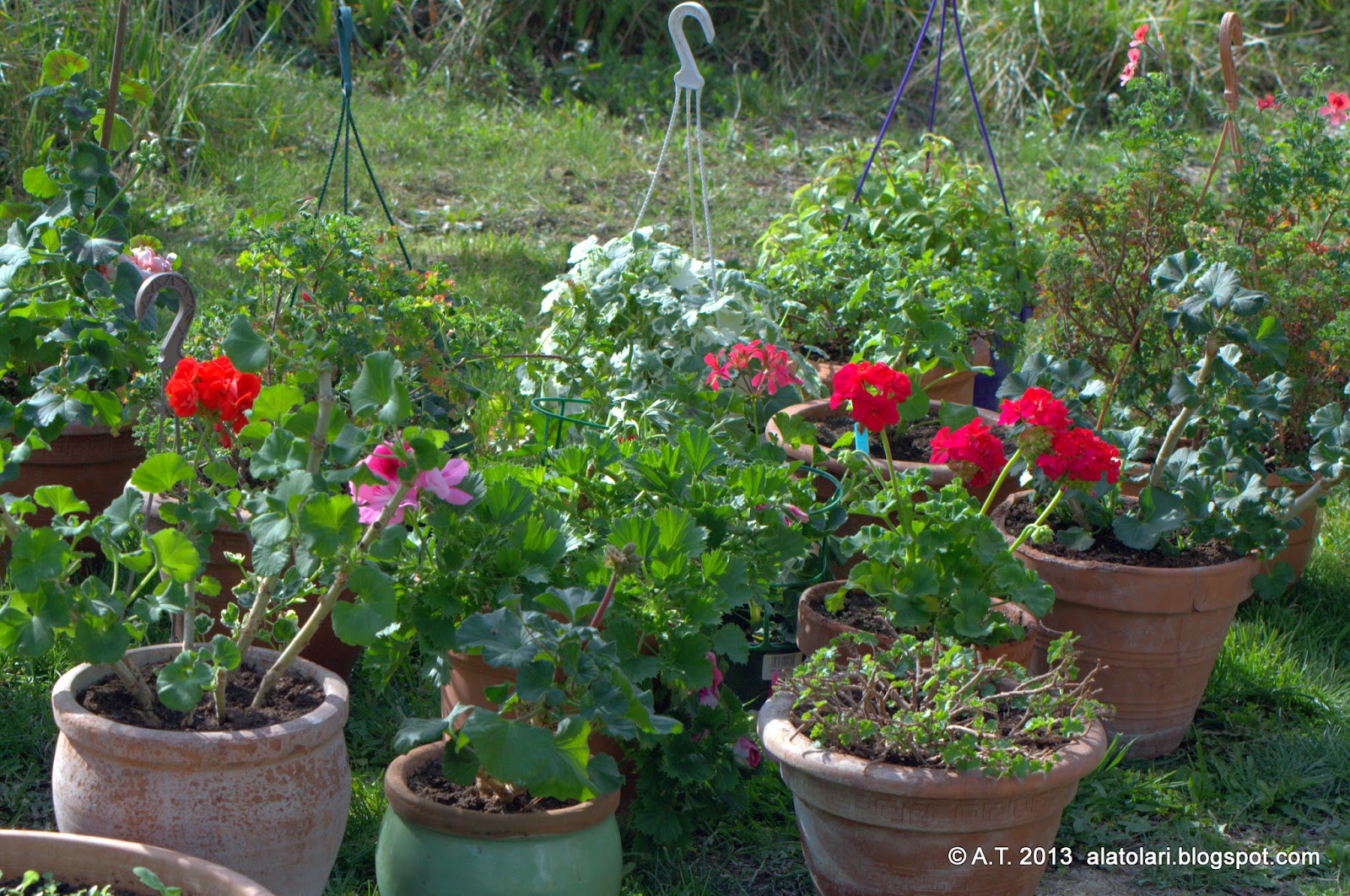 Provence - Allochka.: Страшилки в поместье Фигон,или, как я боролась с ...